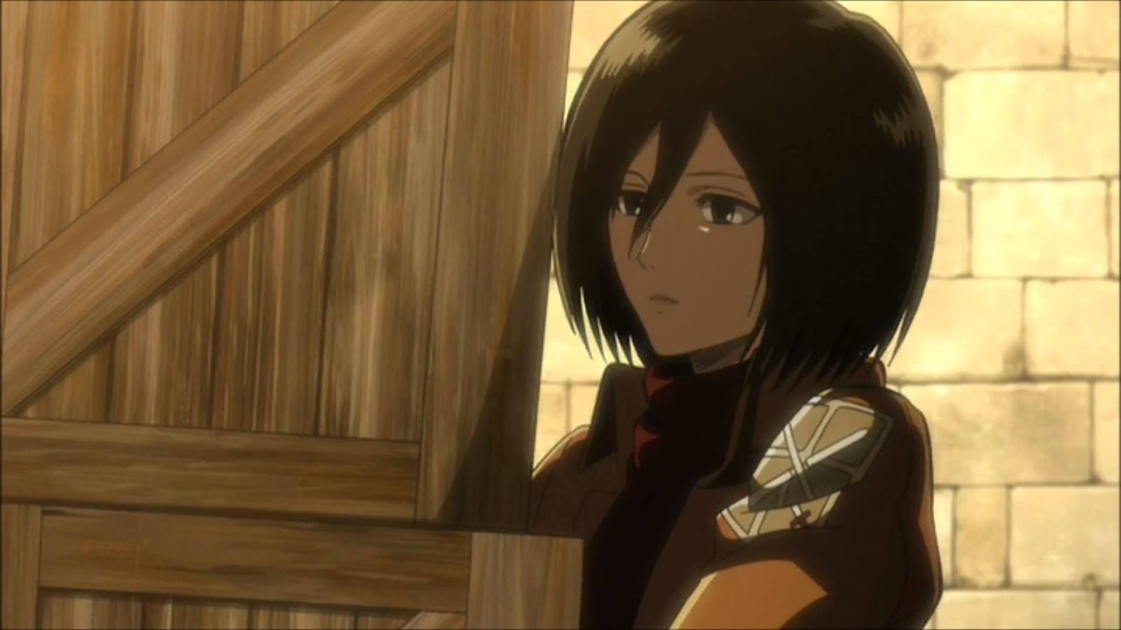 (Character) Mikasa Ackerman - Shingeki no Kyojin | Ryuu-chan WIKI