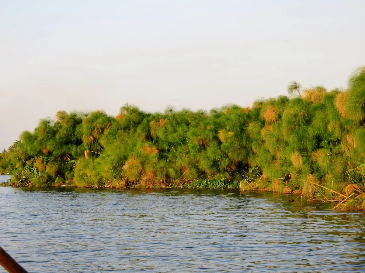 7 of the Best Things to Do In Entebbe Uganda | Sidewalk Safari | Part ...