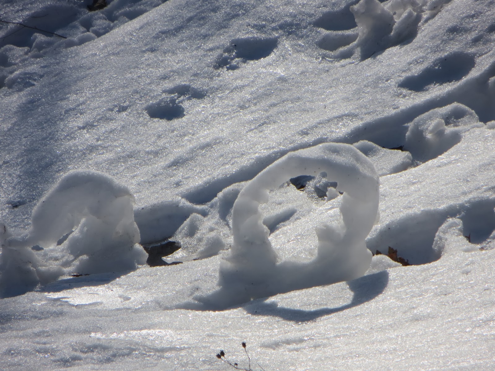 jillgoes: A Weird Snow Phenomenon
