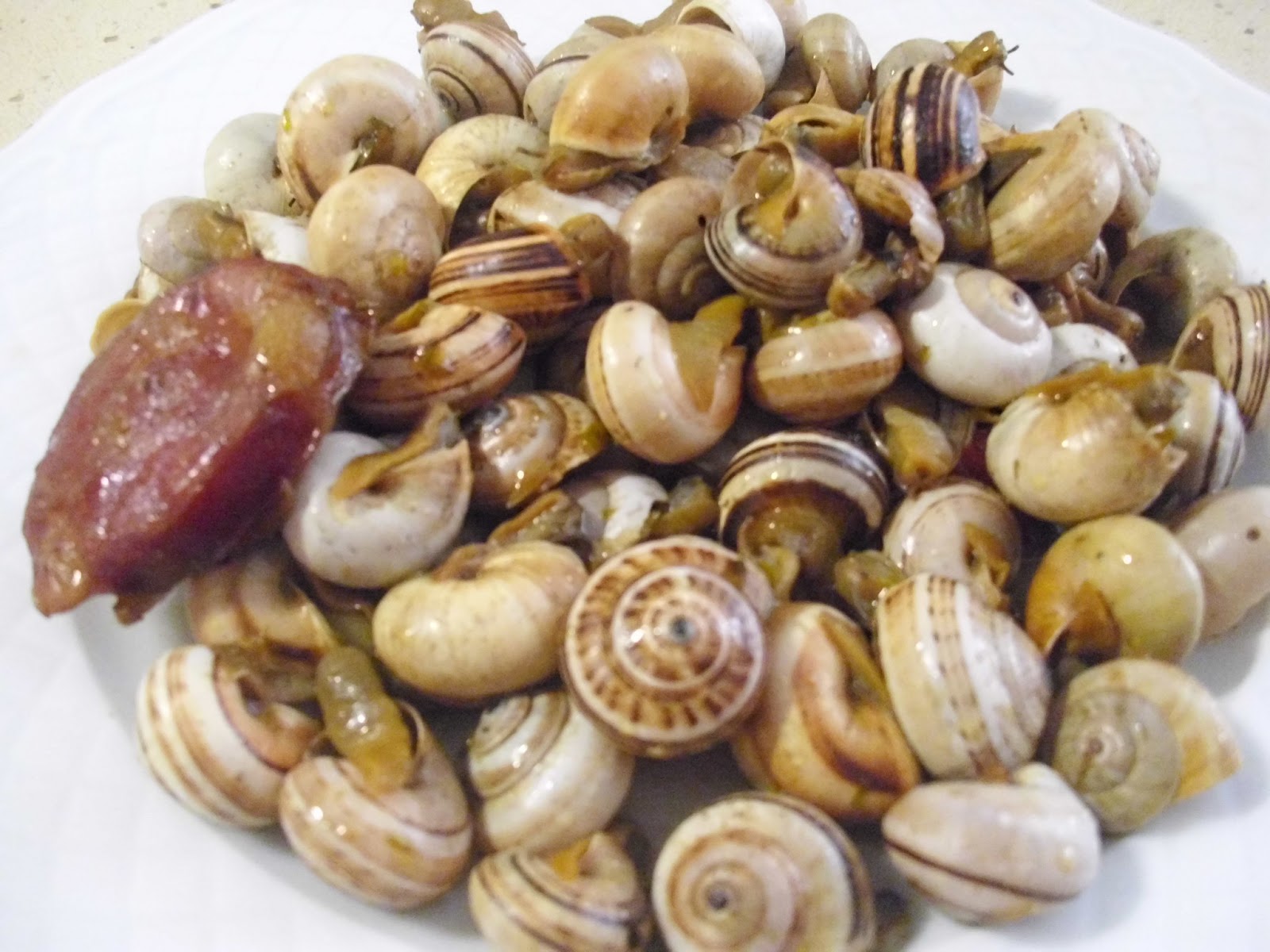 As Receitas da Tia Gui: CARACÓIS