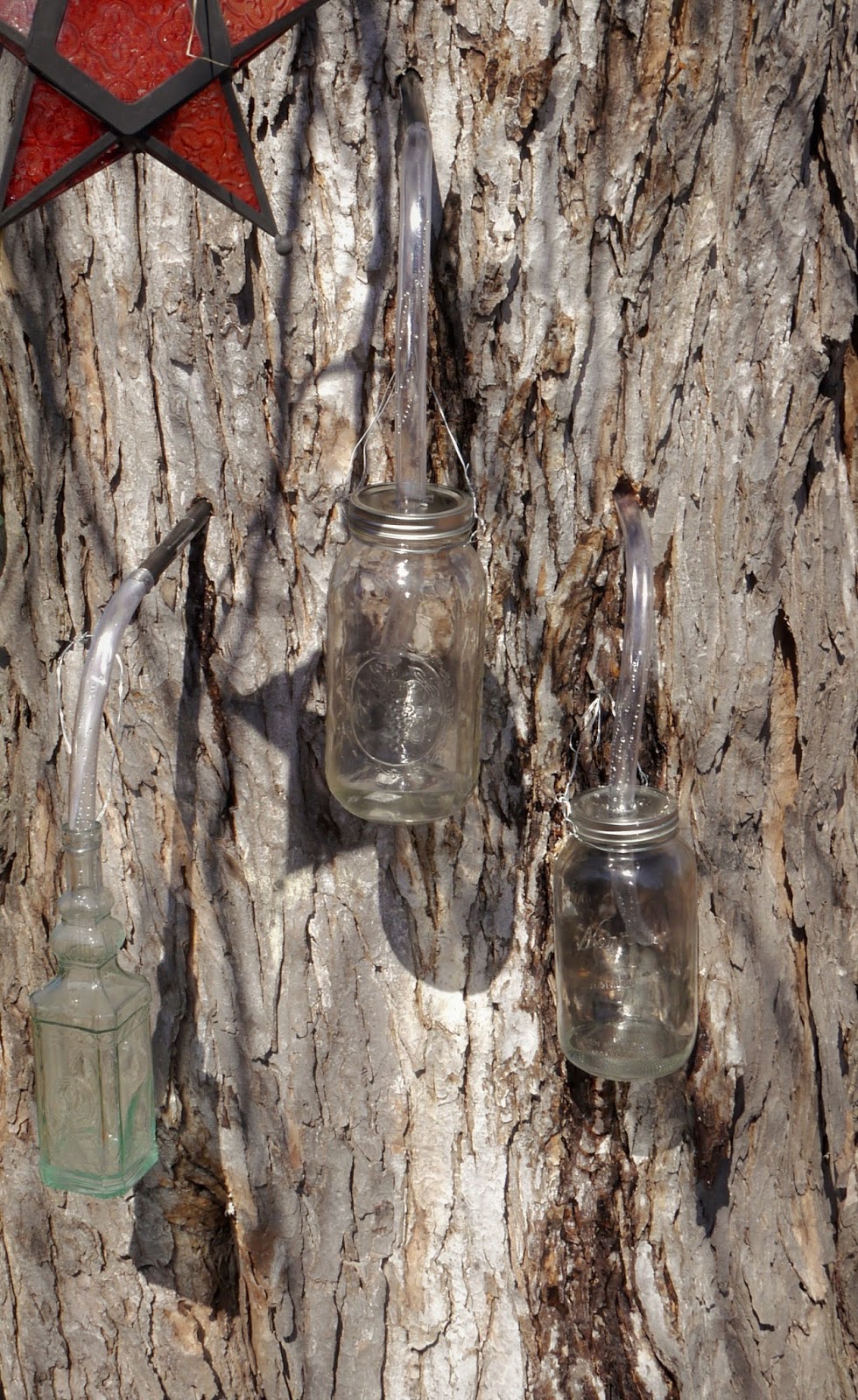 Suzy Homefaker: INSTAPOT/ CROCKPOT HOMEMADE MAPLE SYRUP DIY