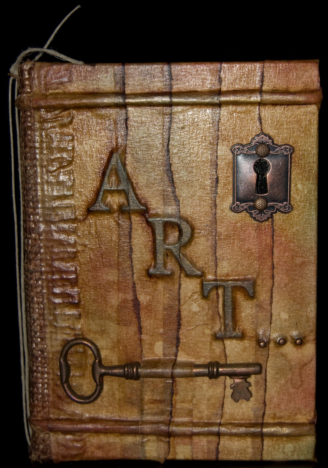 Stampensteins Castle: Adirondack Alcohol Ink Book Cover