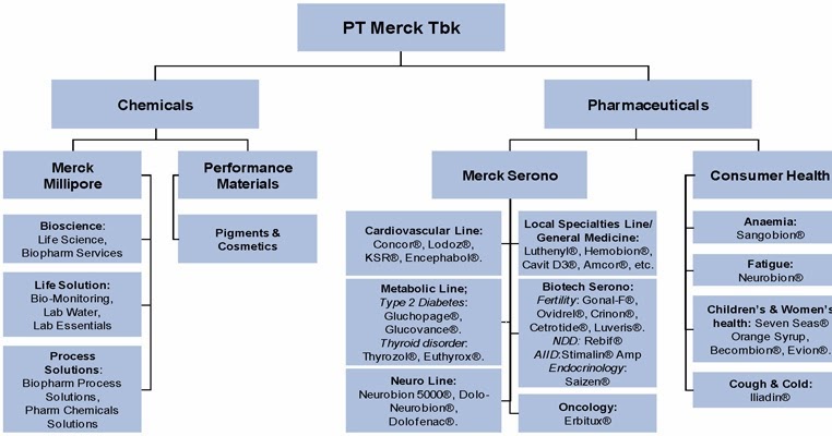 Struktur Organisasi dari PT Merck Tbk.