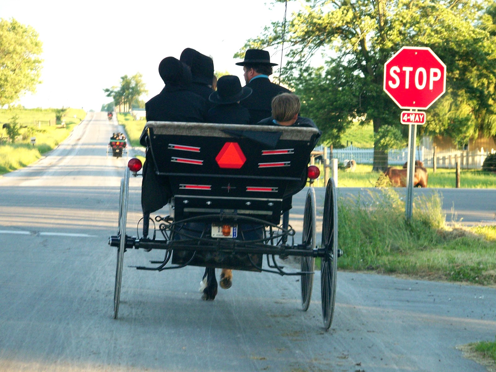 To Behold the Beauty: Amish