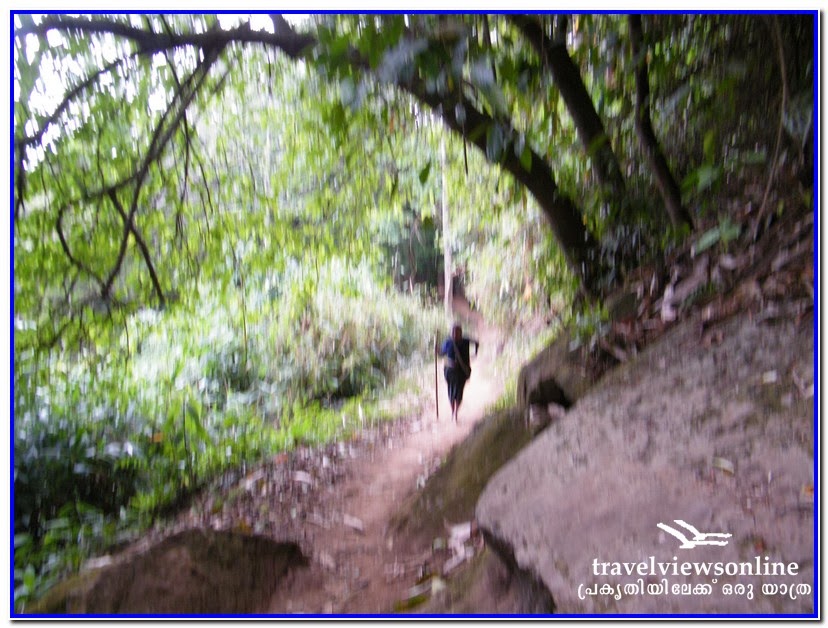 പ്രകൃതിയിലേക്ക് ഒരു യാത്ര (a travel towards NATURE): PULLUMEDU a unique ...