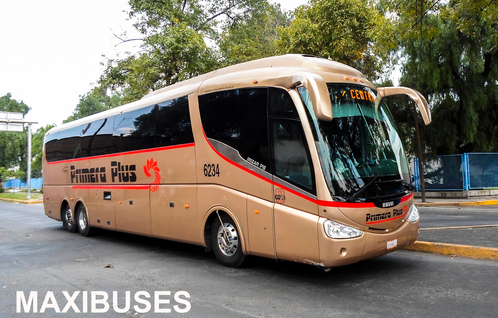 MAXIBUSES: PRIMERA PLUS