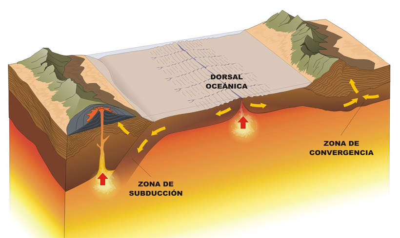Facultinga Blog!: TECTÓNICA