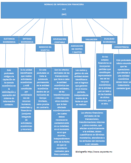 NORMA DE INFORMACION FINANCIERA (NIF A -2 )