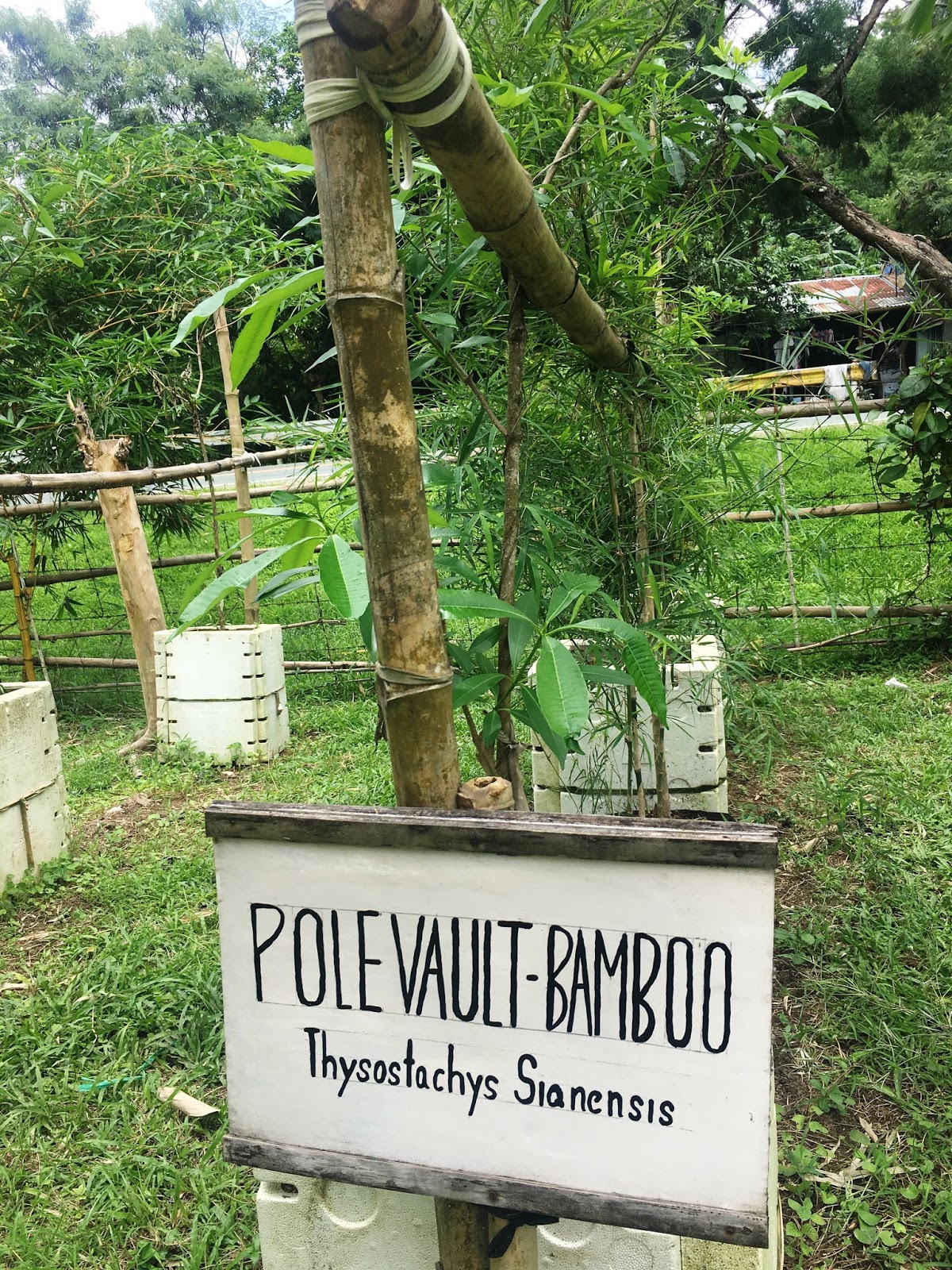 Bicolano Penguin: KAWAYAN FARM RESTAURANT: A Pleasant Surprise in the ...