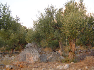 ΜΕΣΣΗΝΙΑΚΗ ΠΑΡΑΔΟΣΗ, ΛΑΟΓΡΑΦΙΑ και ΤΟΥΡΙΣΜΟΣ.: 341 ΧΩΡΙΑ ΚΑΙ ΟΙΚΙΣΜΟΥΣ ...
