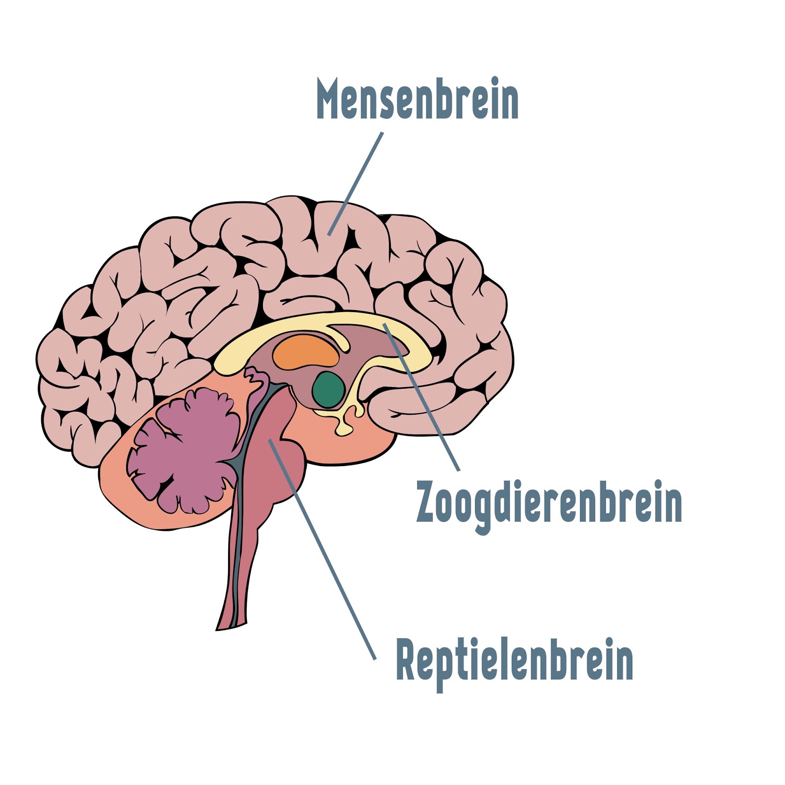 Let's go exploring!: PLG aflevering 2