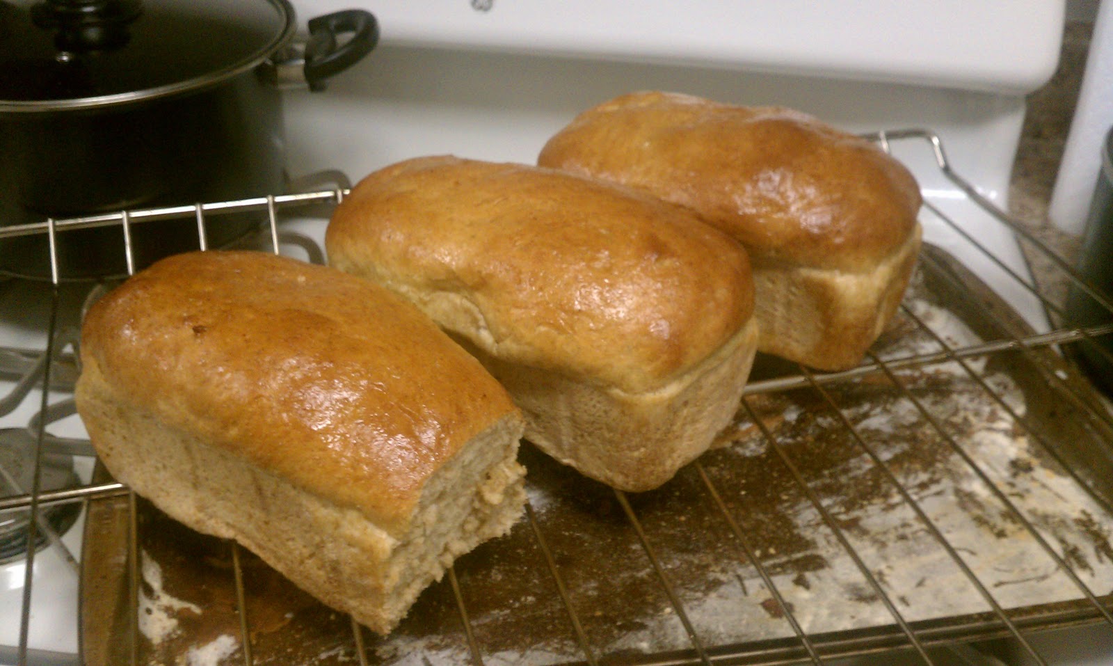 Sasi's Almost African Kitchen: Homemade Wheat Bread