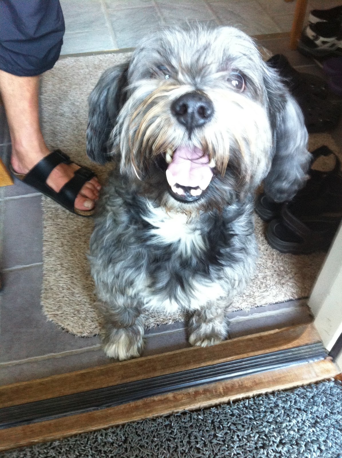 Tusen idéer och en fröken: Sorgen är priset du betalar för kärleken