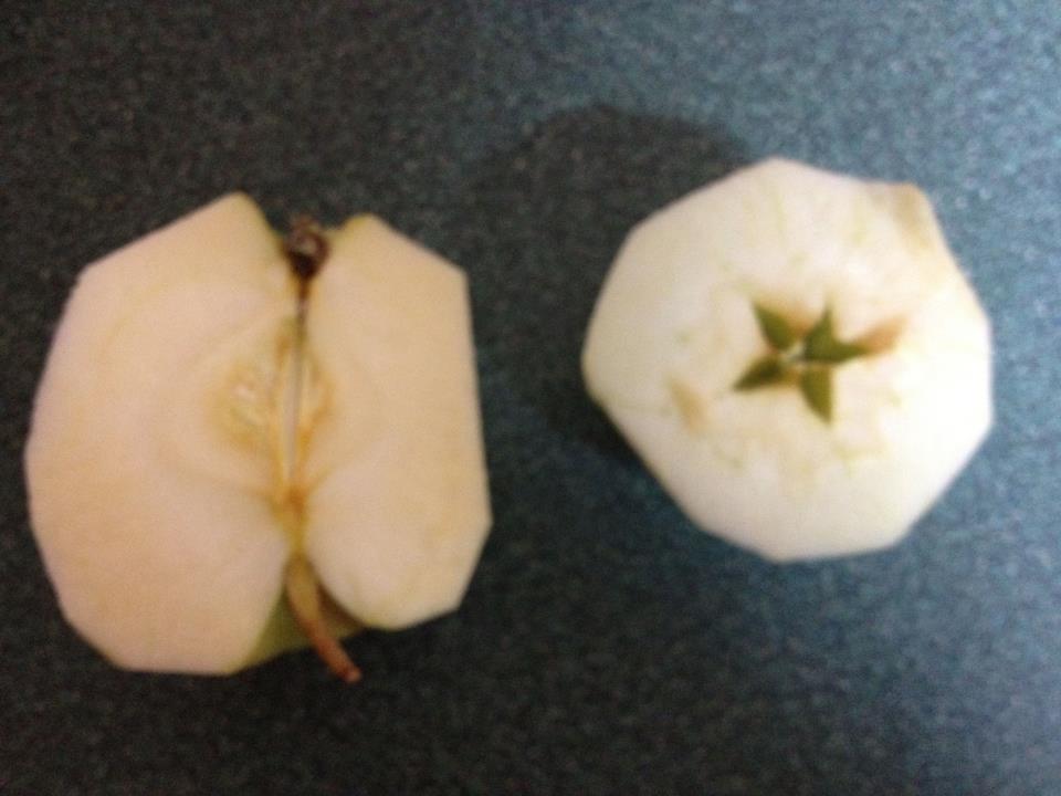 Stepping Stones Child Care: Fall, Apples and Pumpkins Fun