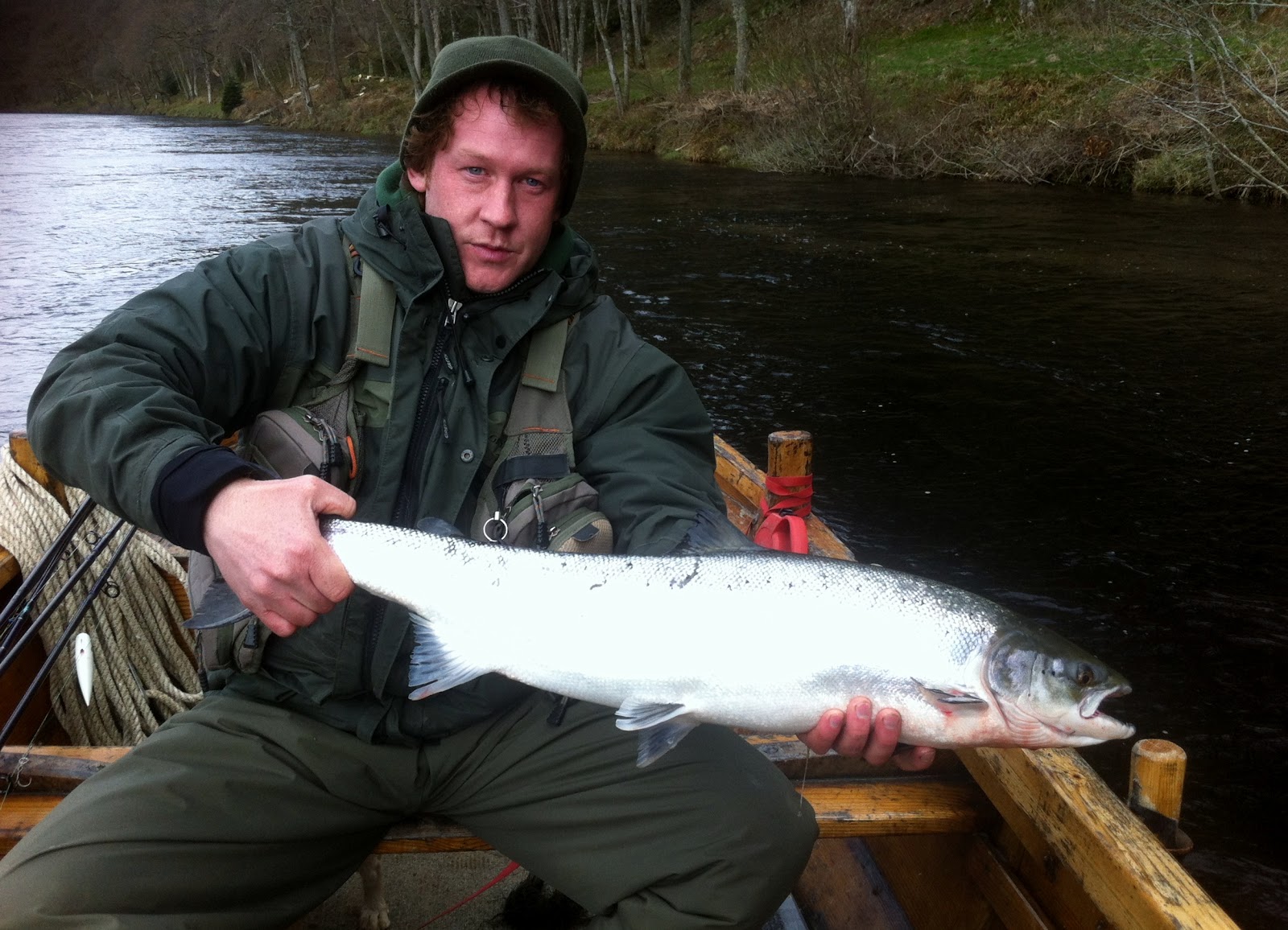 Newtyle Salmon Fishings: 11lb Tay Salmon