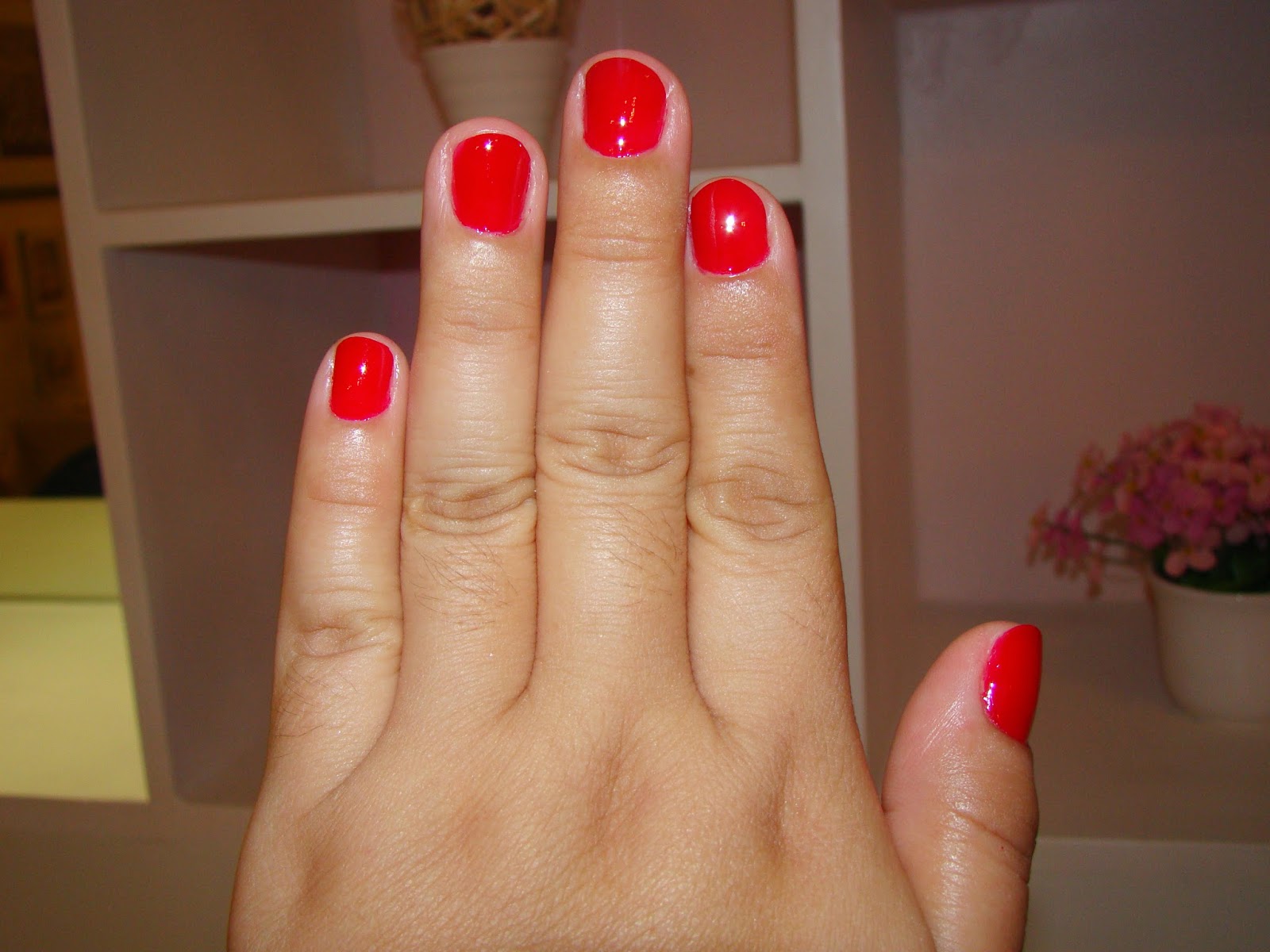 Lavish Pampering at Posh Nails Perea