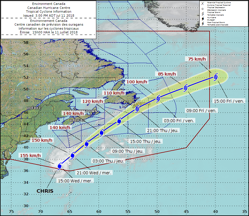 Birding Newfoundland with Dave Brown: Birding in Hurricane Chris and a ...