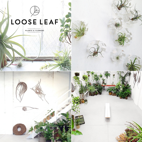 facing north with gracia: PLACES | A special plant store in Australia