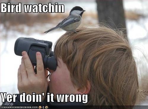Earth~2~SD: Funny Bird Photos