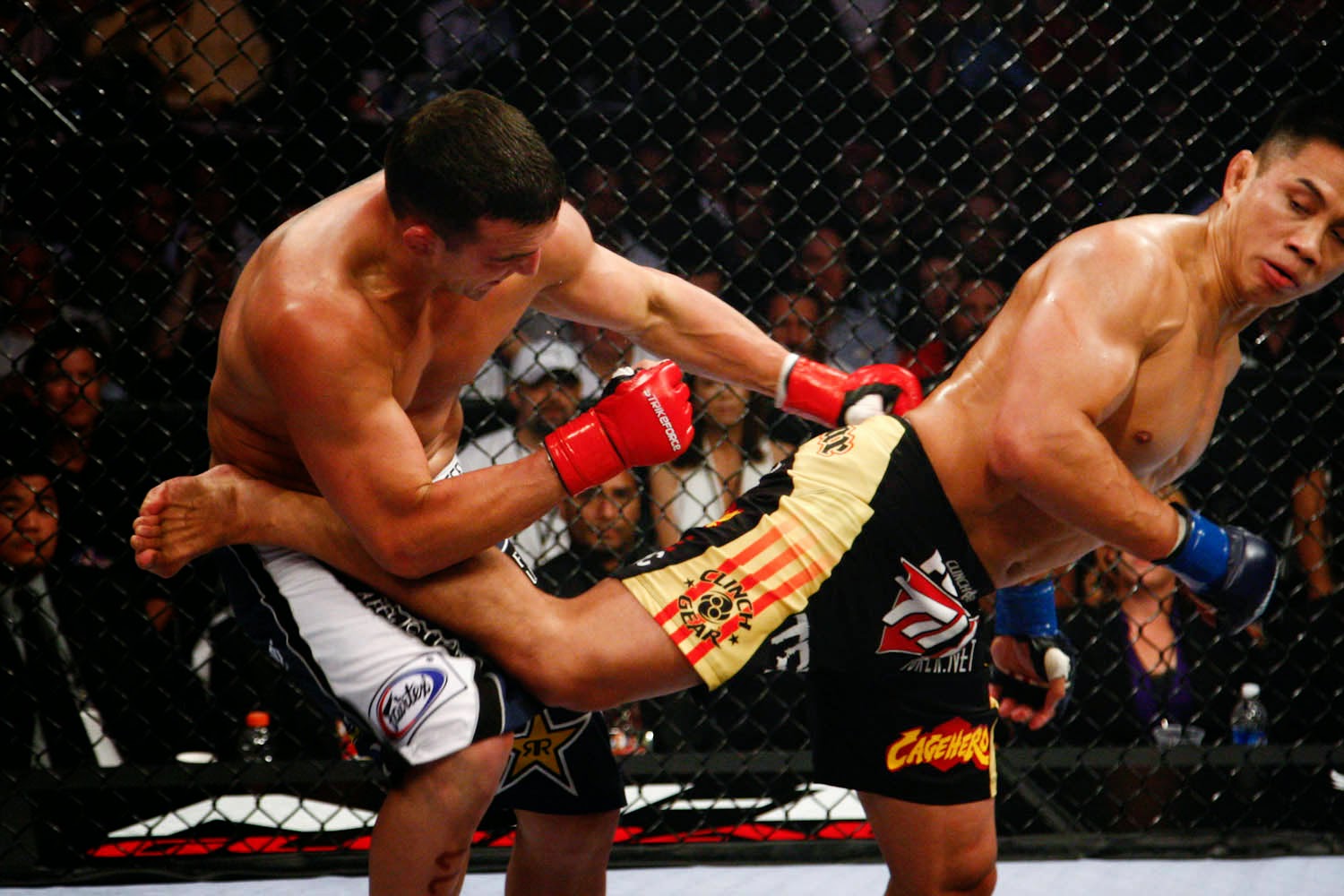 Martial Arts: Chung Le