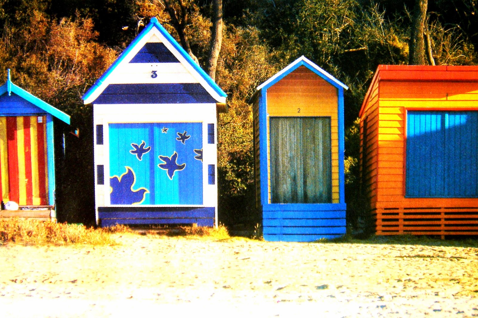 The Flying Tortoise: The Romance Of Boat Sheds And Beach Huts...