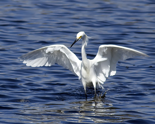 Brittany Andrews Photography: Getting to know you're style ...