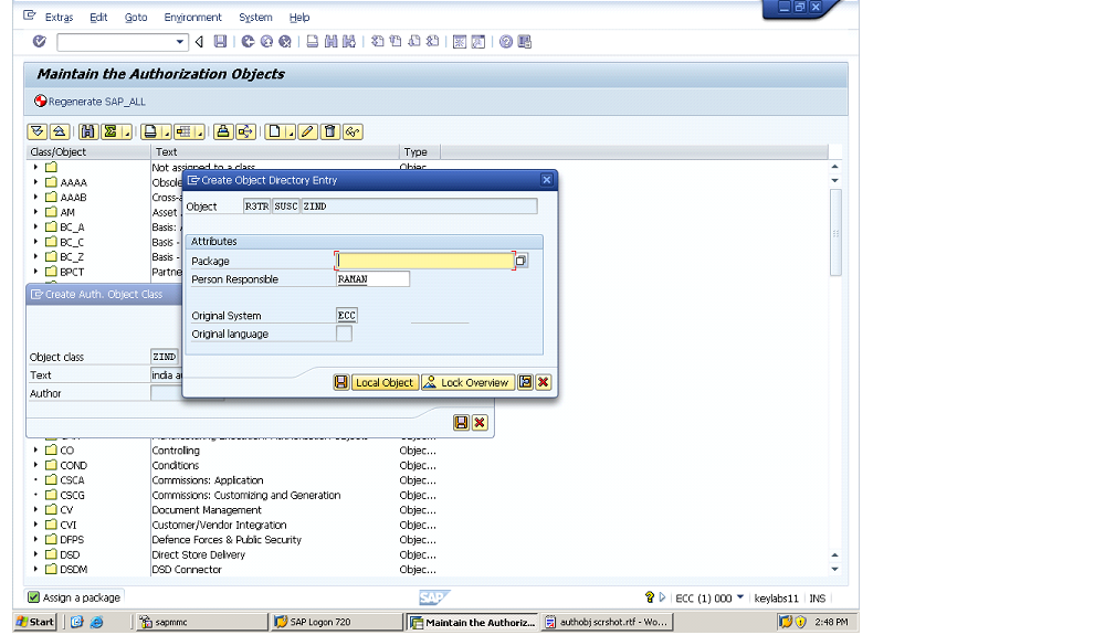 Sap Security Tutorial Creation Of Customized Auth Objects