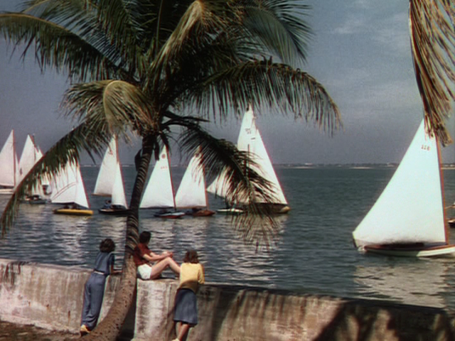 Love Music Wine and Revolution: Moon Over Miami (1941)