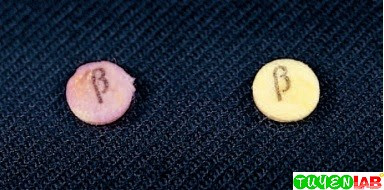 [Microbiology] Atlas of Antimicrobial Susceptibility Testing | Free ...