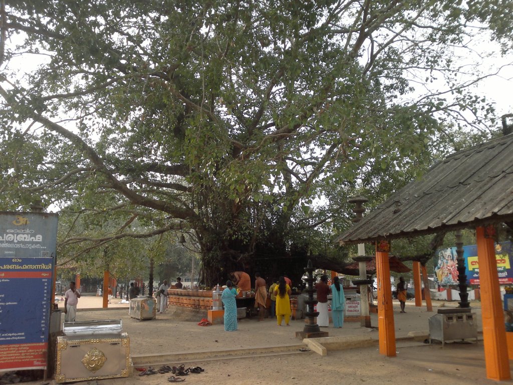 oachira parabrahma temple - TravelersOutlook: Travelers Photo Gallery