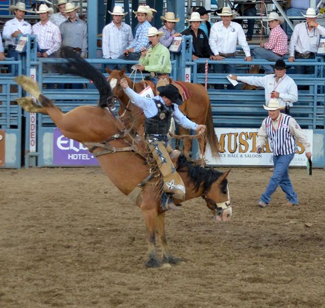 Random Images from a Nightowl: Reno Rodeo June 21, 2011
