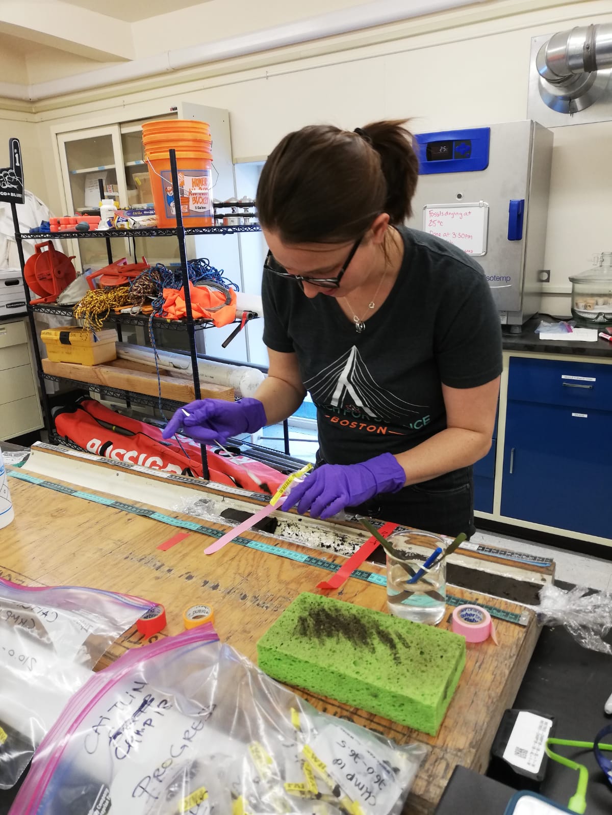 How to Become a Paleobiologist