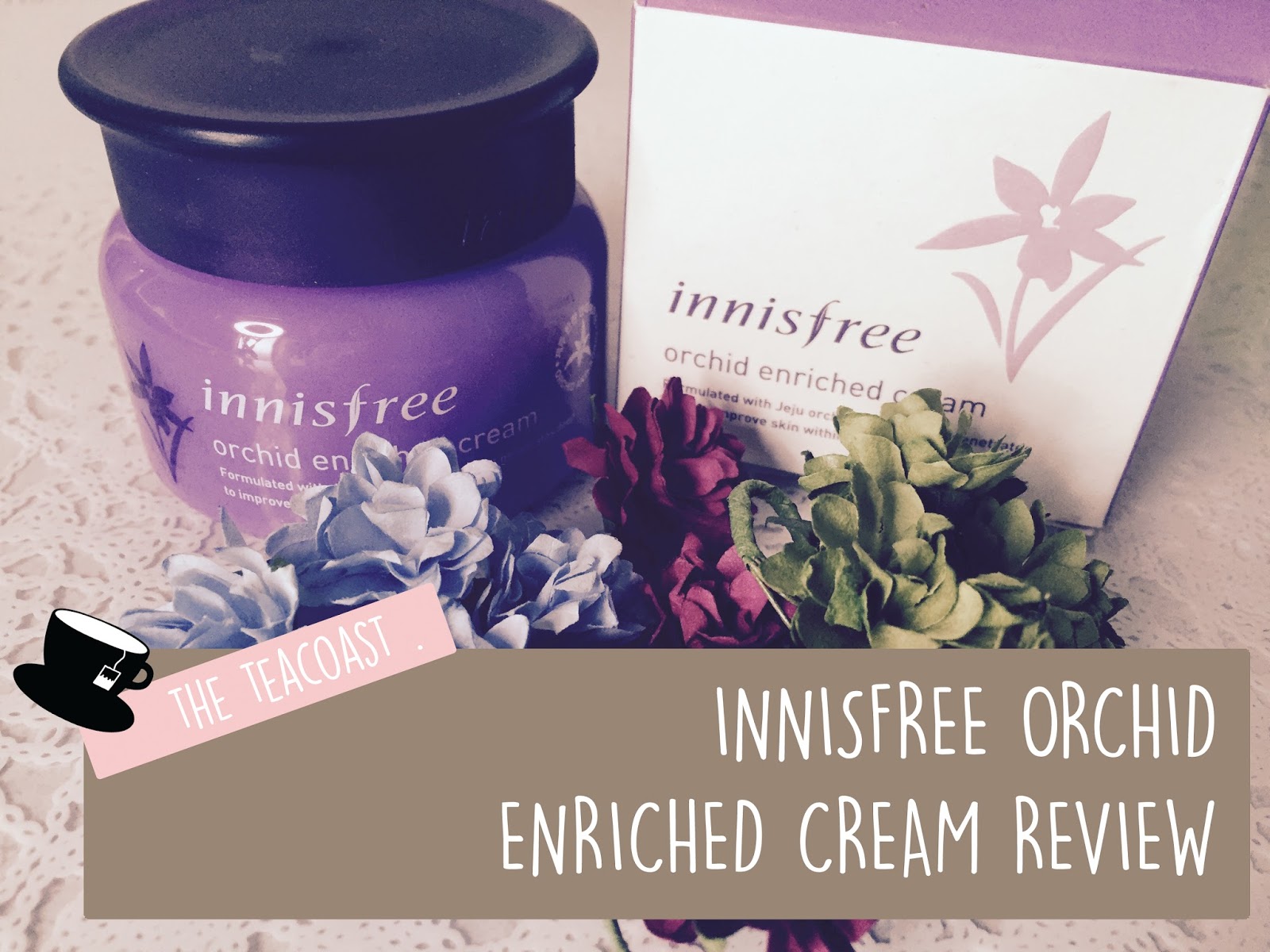 INNISFREE Orchid Enriched Cream [REVIEW] | 「THE TEACOAST」