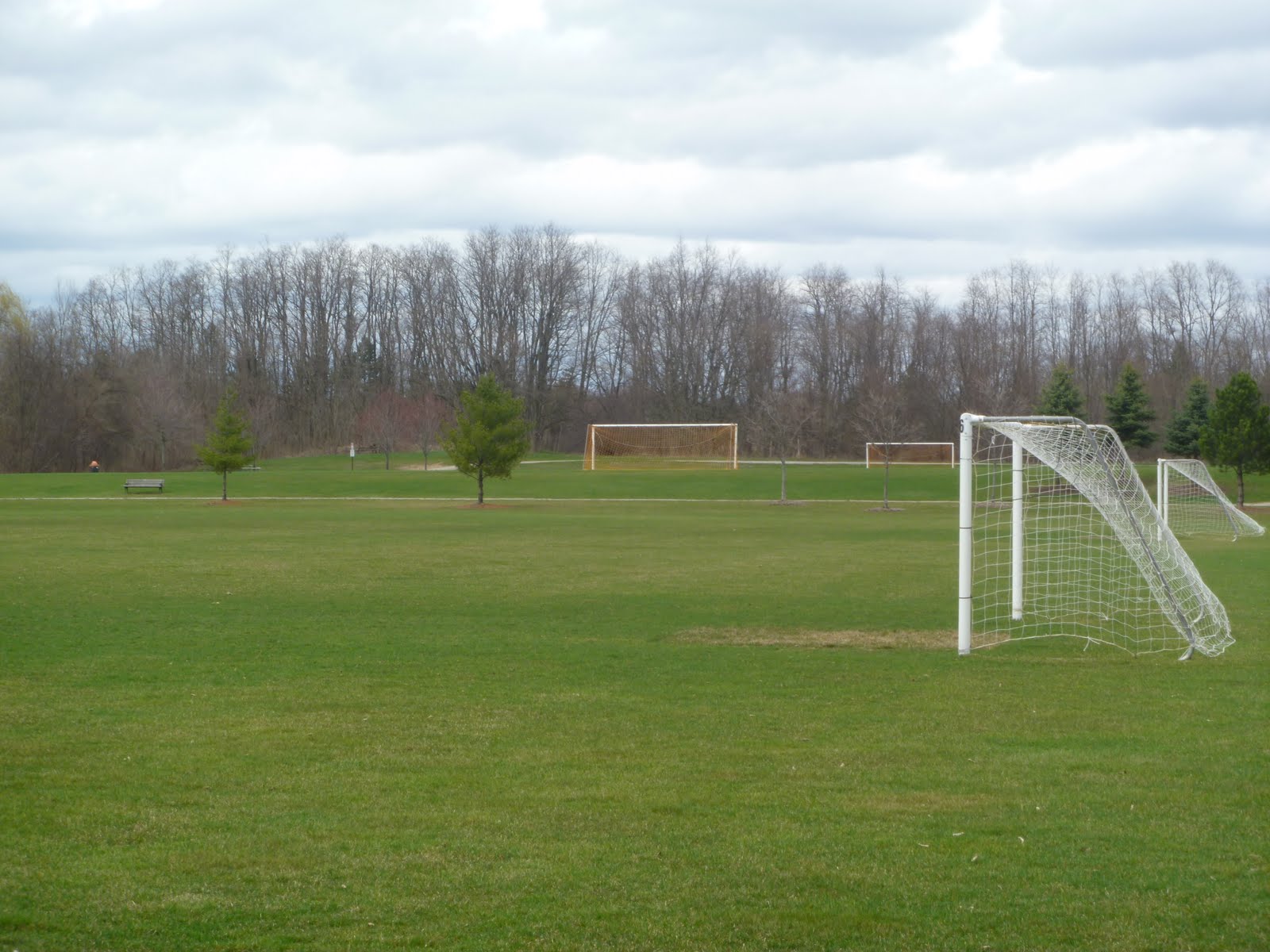 Homes for Sale in Farmington Hills MI Blog: Founder's Sports Park ...