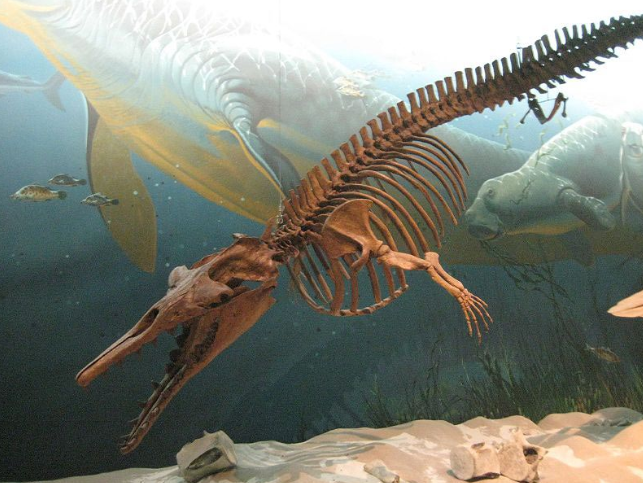 "And speaking of which...": Mississippi's Prehistoric Whales