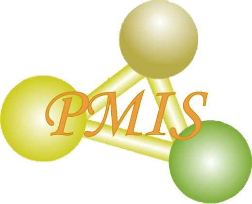 Project Management Information System: ¿Cual es el objetivo de PMIS?