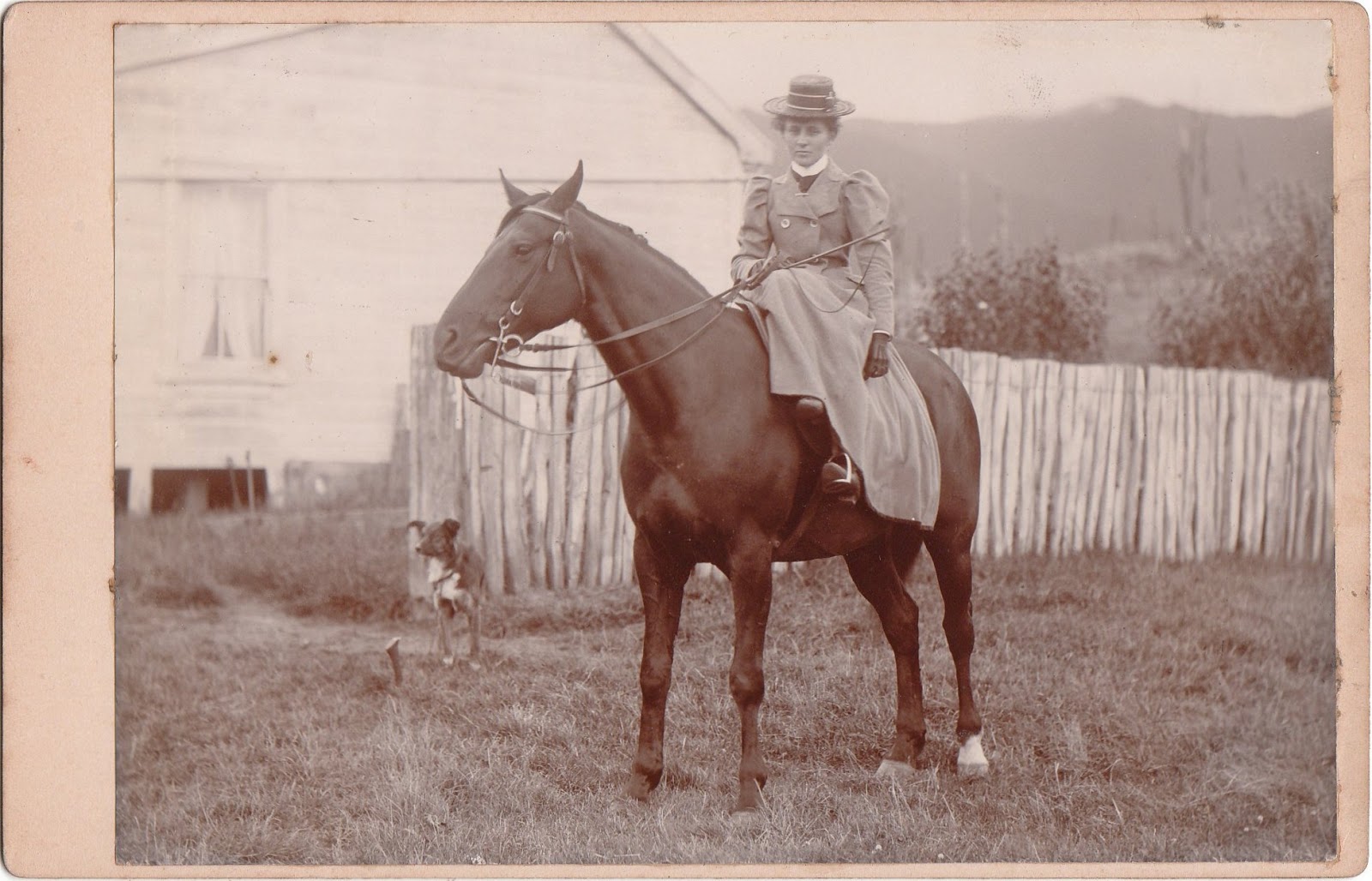 Early New Zealand Photographers: WILDBORE, Charles Edward