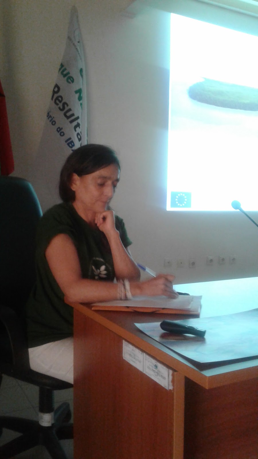 O AMBIENTE: Projeto Gestão Sustentável dos Recursos Florestais no ...