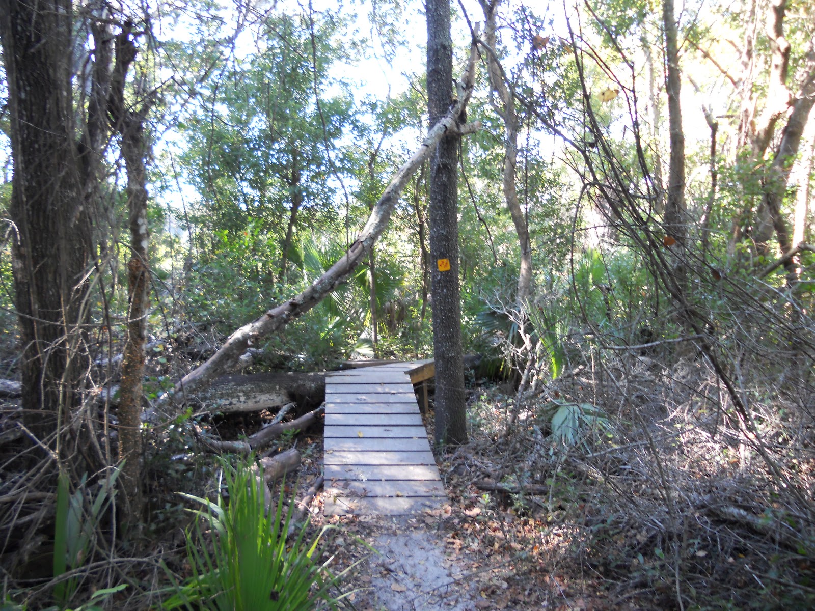 CENTRAL FLORIDA MOUNTAIN BIKE TRAILS