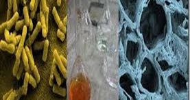 adventurewithcrankinking: Mengenal Apa itu Teknologi Bioproses