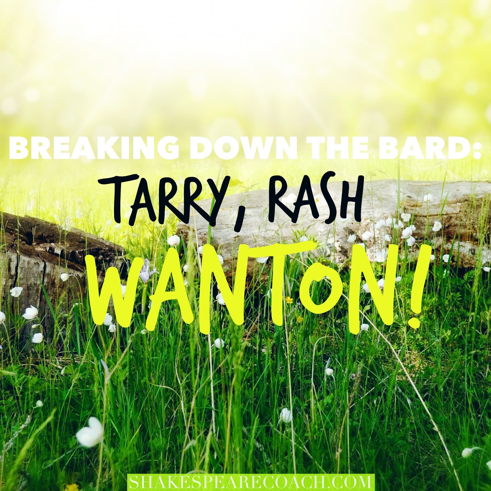 Shakespeare Coach Emily Staudt: Breaking Down the Bard - Tarry, rash ...