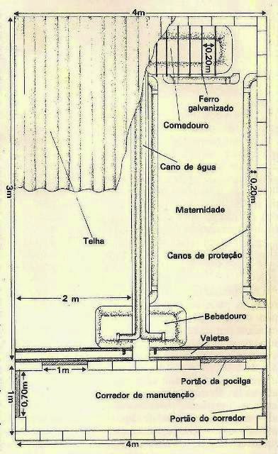 Meio Século de Aprendizagens : CONSTRUÇÃO DE UMA POCILGA