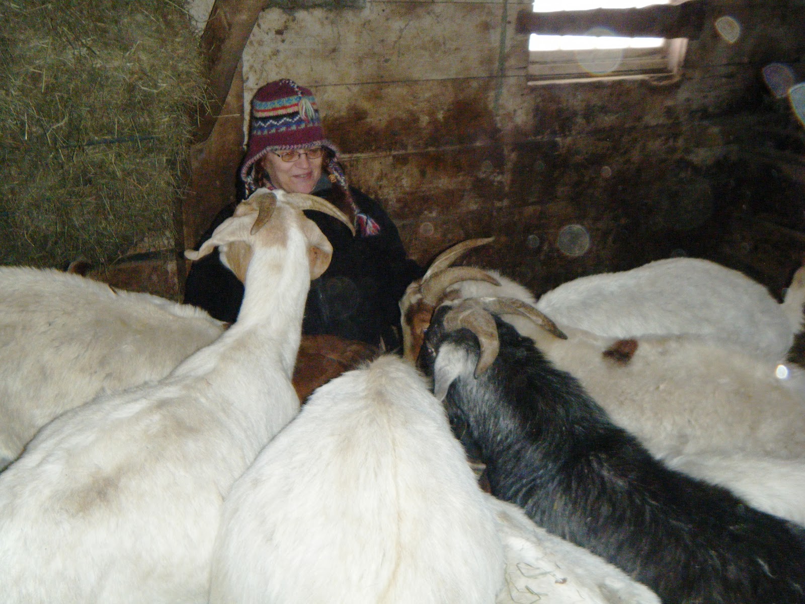 THE GOAT BORROWER: The Great God Kevin: A Lesser Known Greek Myth