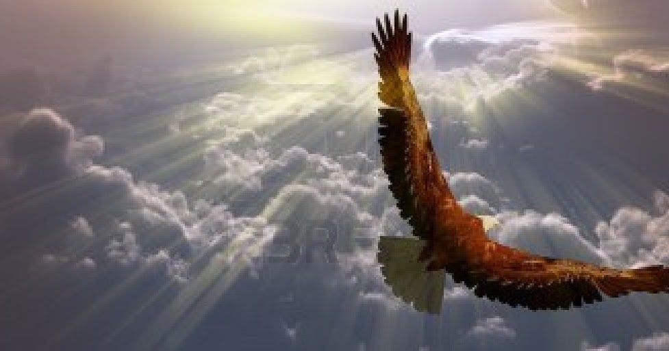 LIBRO: LA SALIDA DEL ALMA A LA VIDA: VUELA CON EL ALMA, ATRÉVETE A ...