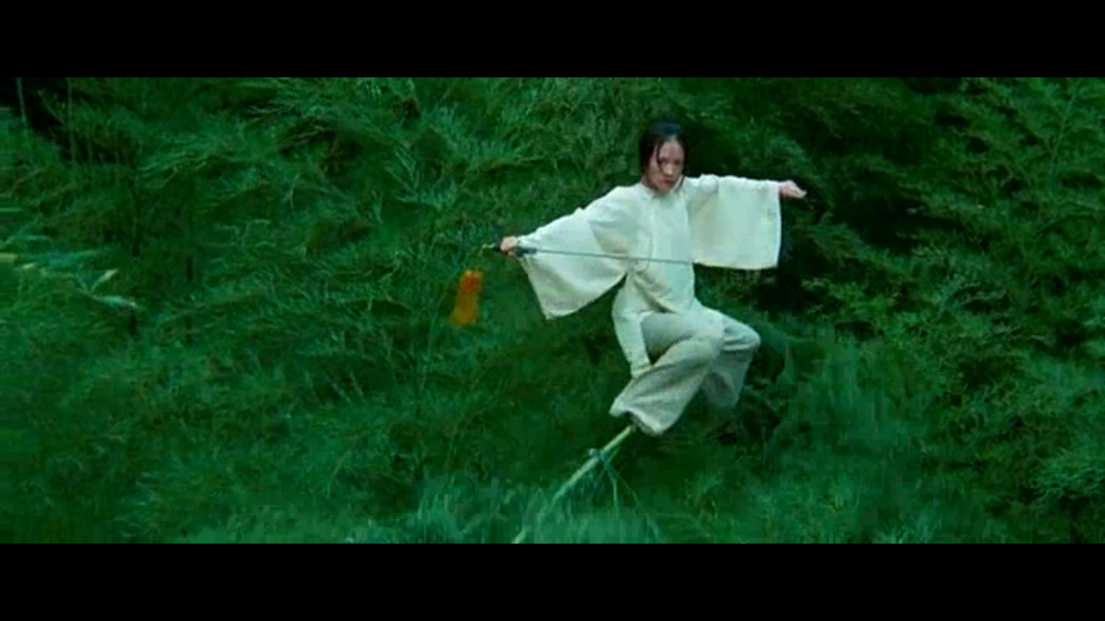 JamesH2O: Cinematography Analysis on Crouching Tiger, Hidden Dragon