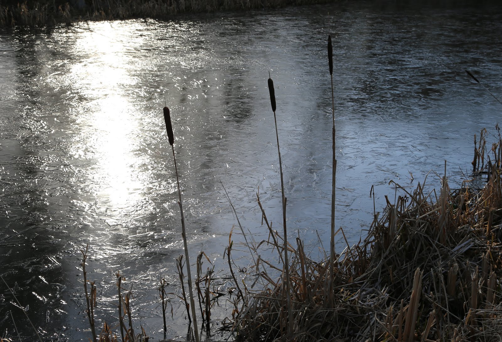Glasgow Punter: Ruchill, Lambhill, Possilpark, Cadder. Following the ...