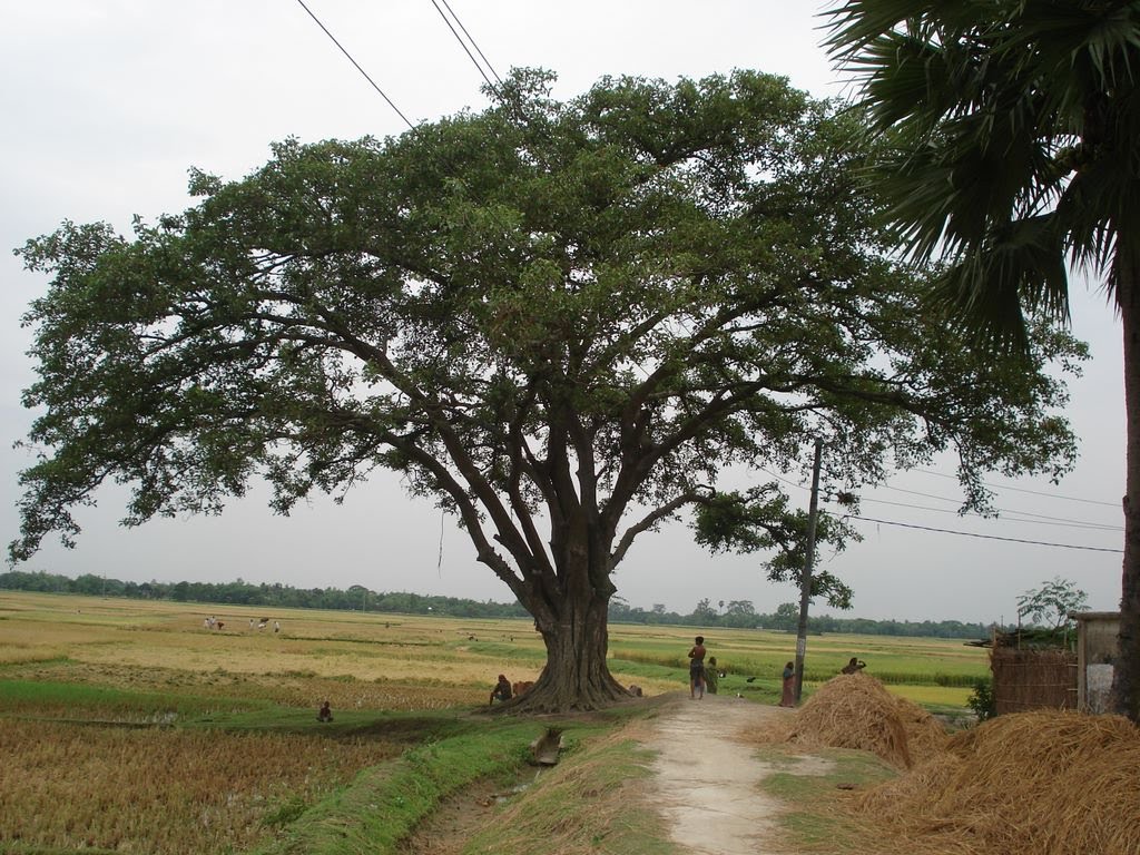 EXPLORE THE WORLD: Naogaon, Bangladesh; Image Gallery