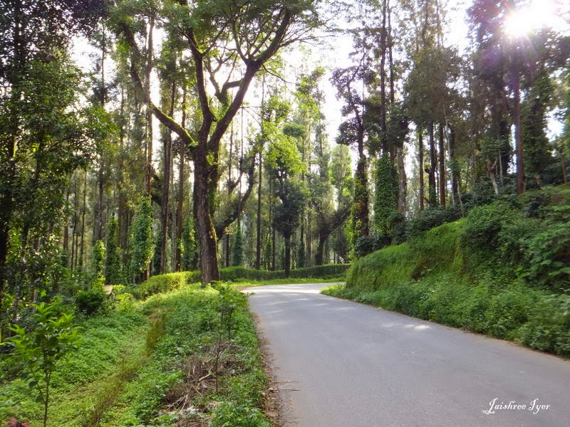 My Views: A temple Tour - 1 Horanadu, Sringeri, Kalas,Udupi, Kukke ...