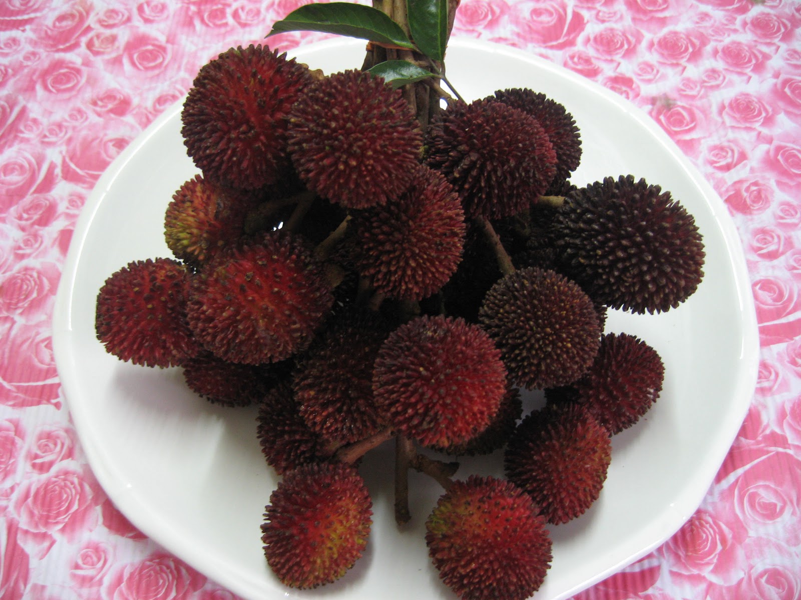 Sumptuous Flavours: Pulasan 布辣山