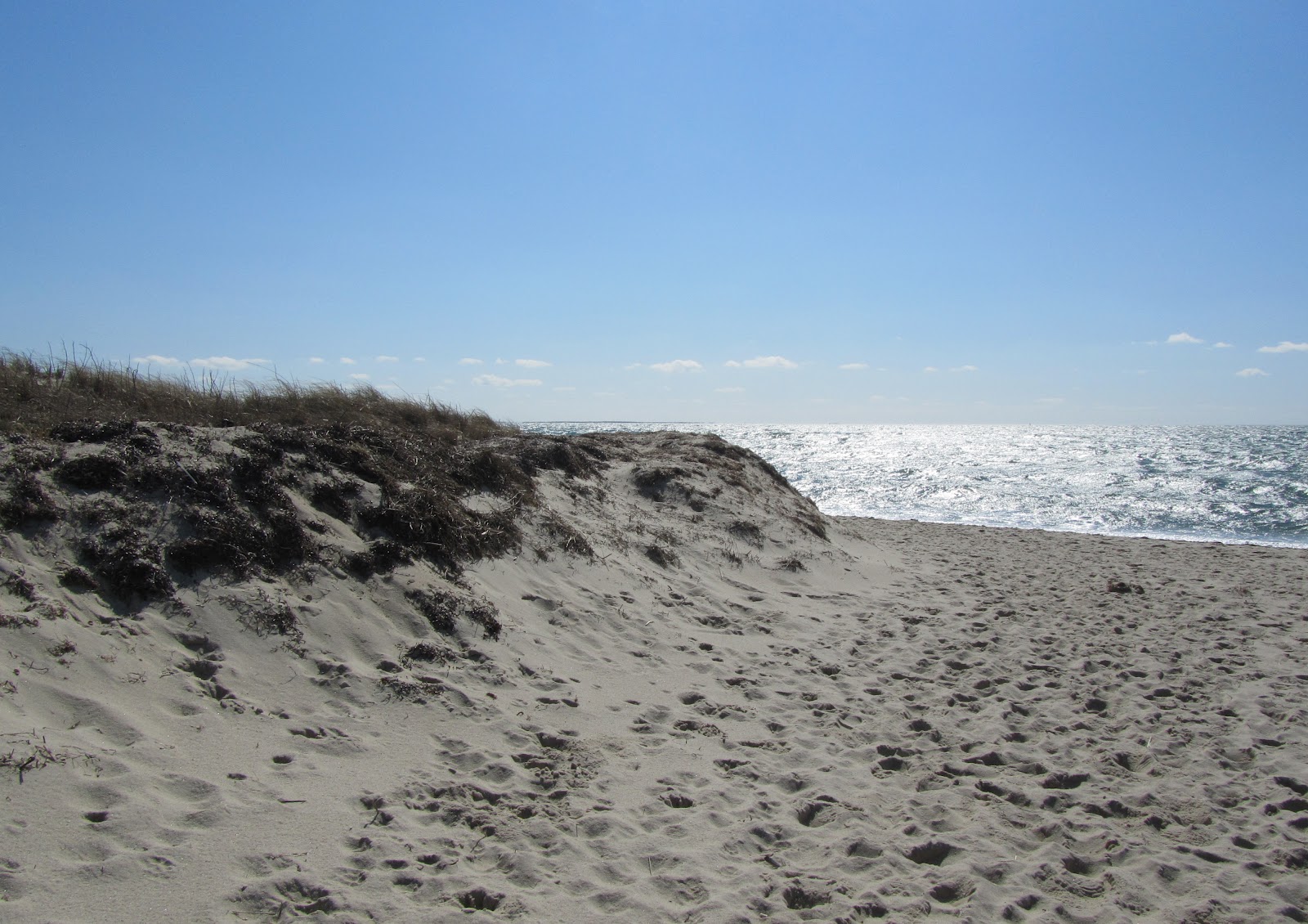 One Beach At A Time: Hardings Beach, Chatham, Massachusetts